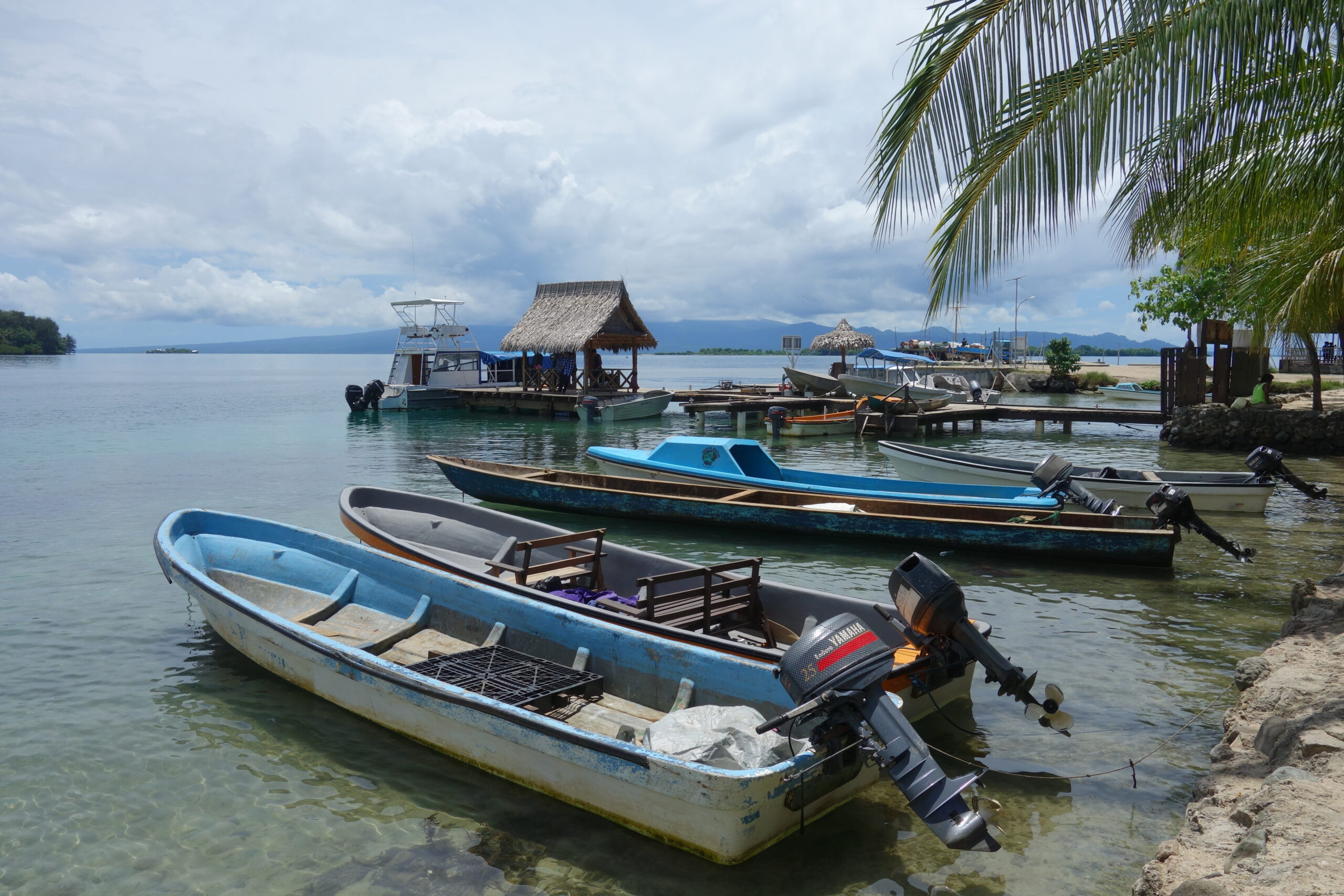 Land Equity International | Review of the Land Sector